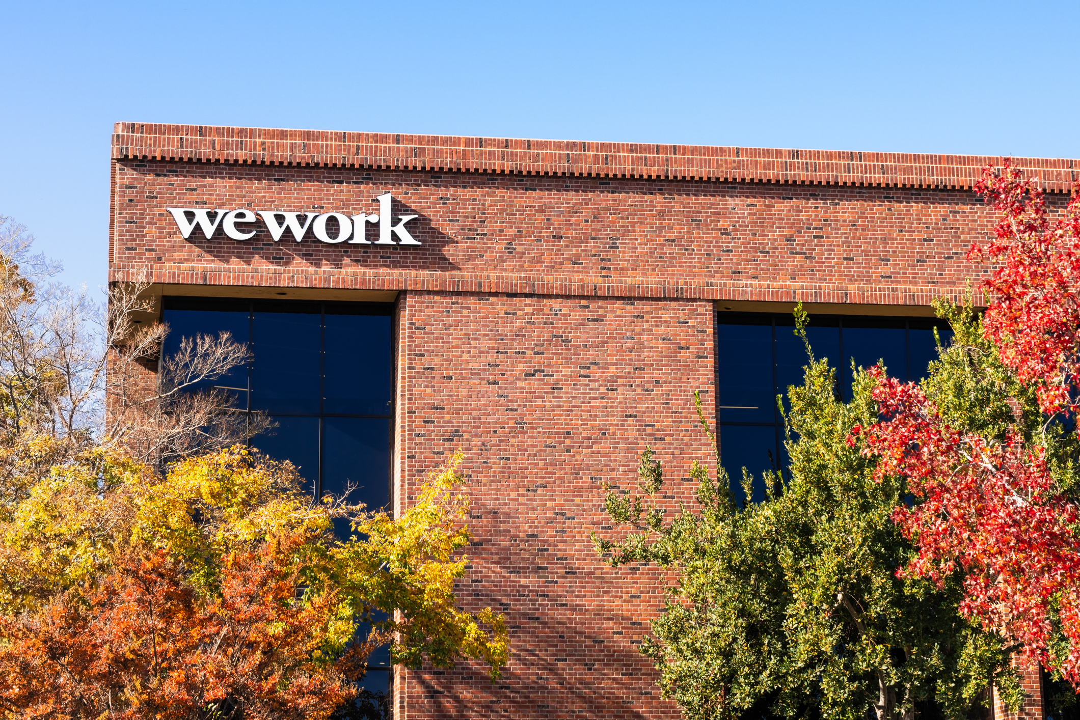 Podcast Review | The Spectacular Rise and Fall of WeWork